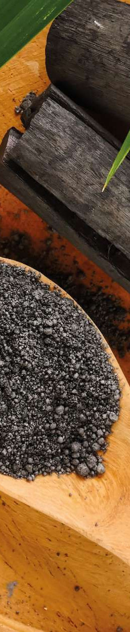 SILVERCARE ORAL PRODUCTS LLC